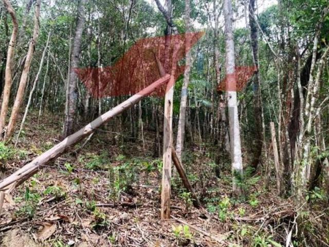 Terreno medindo 1.500,00 m² com escritura definitiva