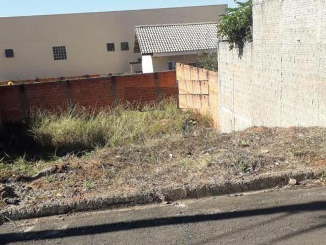 Terreno, Miguel Afonso, Jacarezinho, PR
