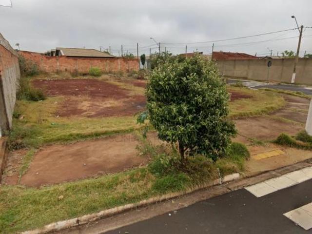 Terreno Misto para Locação e Venda no Bairro Jardim Cristo Redentor, em Ribeirão Preto SP
