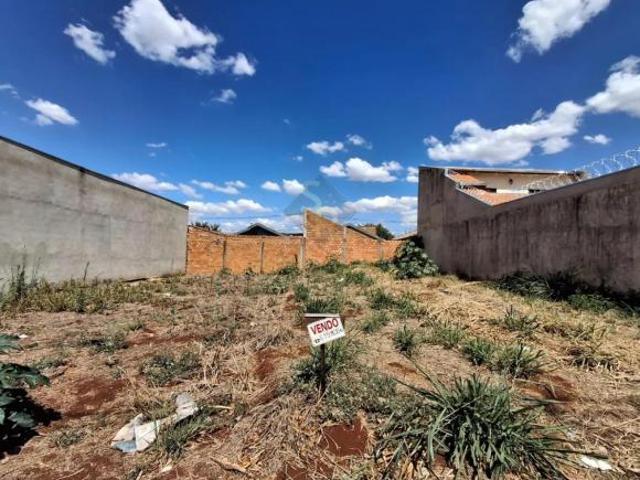 Terreno Misto para Locação e Venda no Bairro Jardim Cristo Redentor, em Ribeirão Preto SP