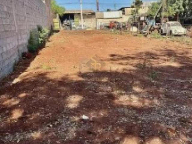 Terreno Misto para Locação e Venda no Bairro Vila Elisa, em Ribeirão Preto SP