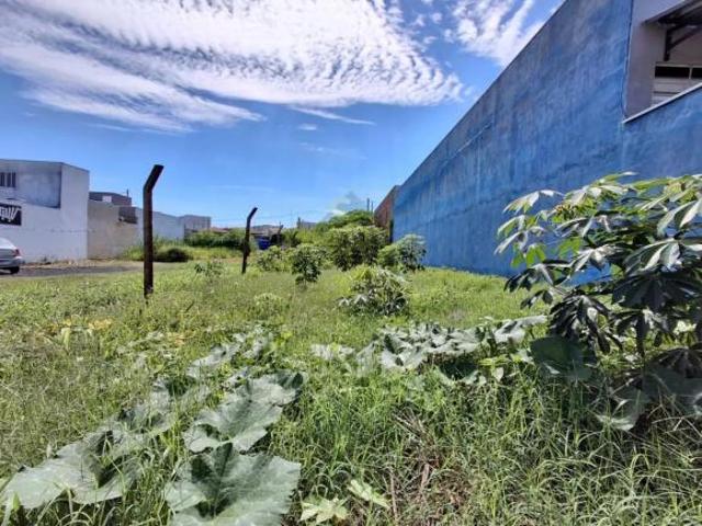 Terreno Misto para Venda no Bairro Reserva Macaúba, em Ribeirão Preto SP