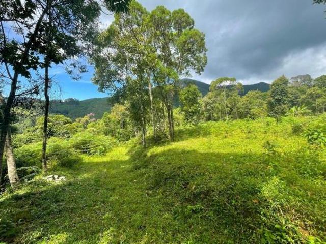 Terreno, Mirantão, Bocaina de Minas, MG