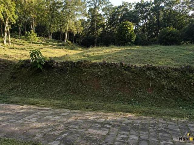 Terreno | Monte Bérico