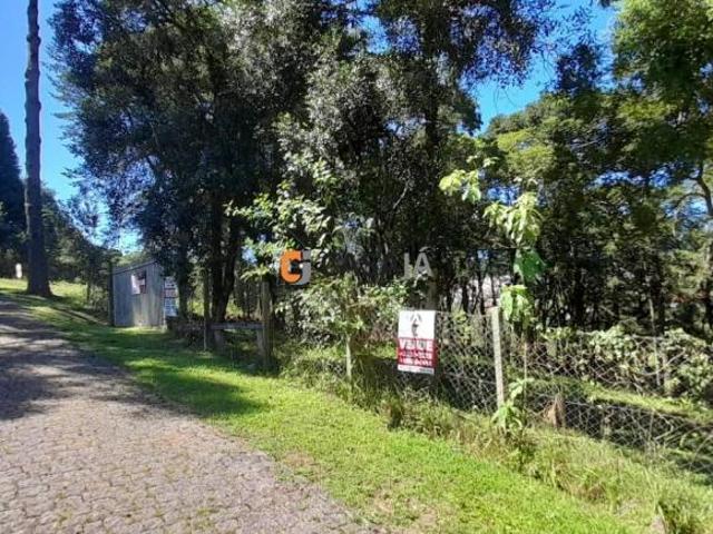 Terreno, Moradias Bom Jesus, Campo Largo, PR