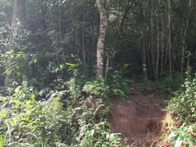 TERRENO MORUNGAVA