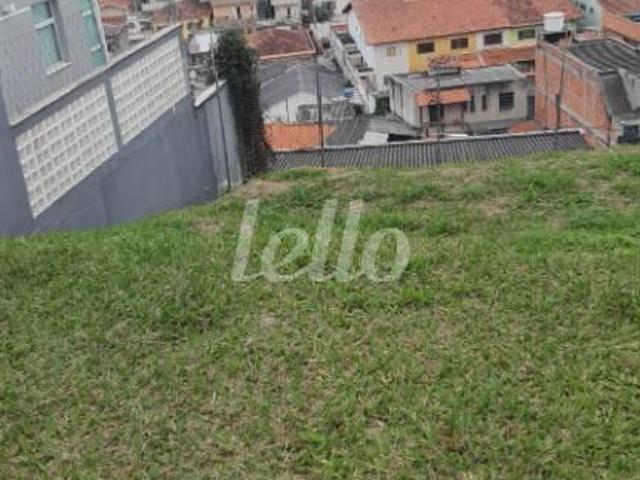 Terreno null quartos à venda no a Horto Florestal