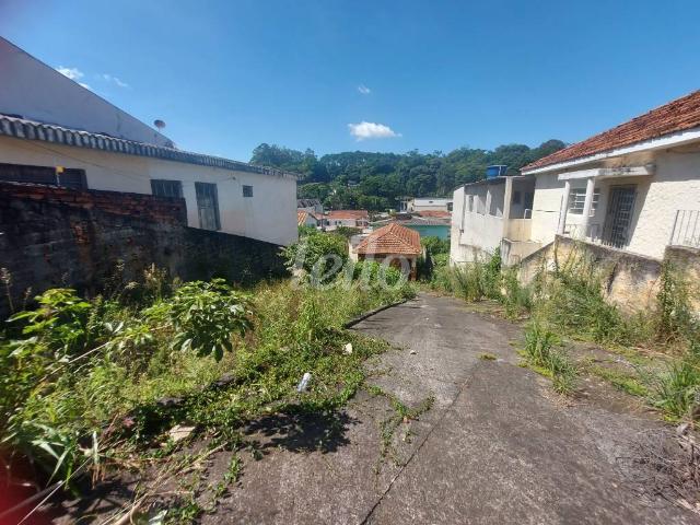 Terreno null quartos à venda no a Horto Florestal