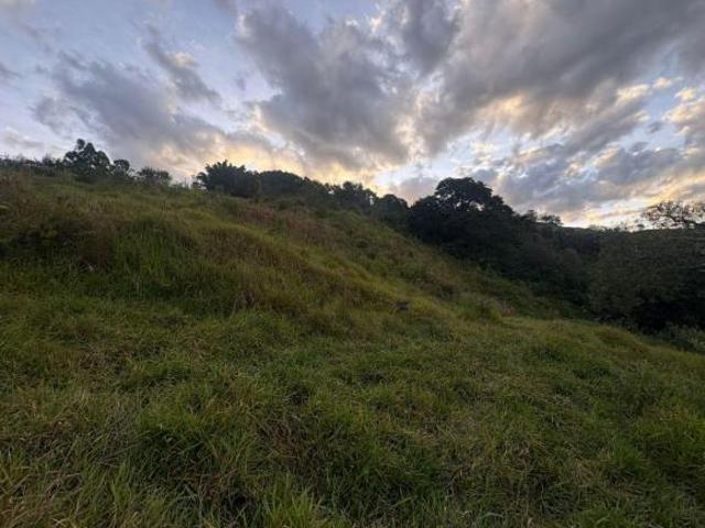 Terreno na Mantiqueira com Nascente, Platô Pronto e Vista Panorâmica
