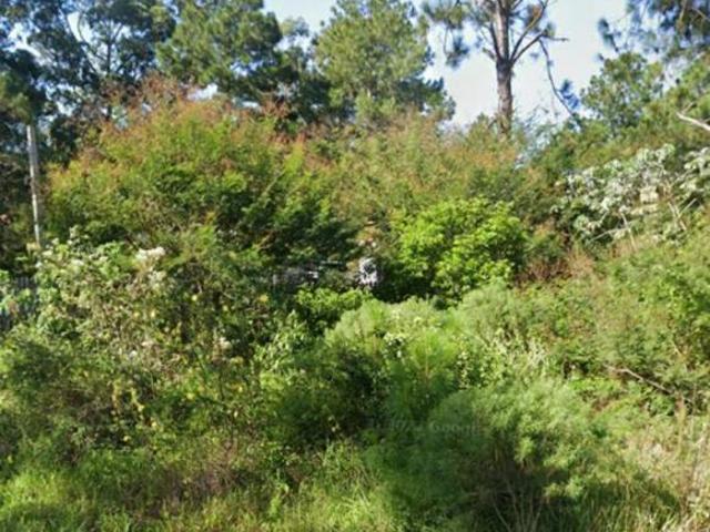 Terreno na Aldeia da Lagoa