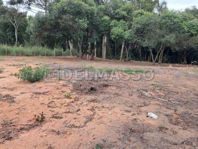 Terreno na beira do asfalto com linda vista!