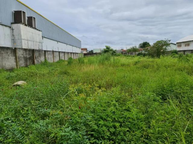 Terreno na BR 316 em Castanhal