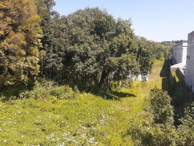 Terreno na Cidade Industrial Curitiba