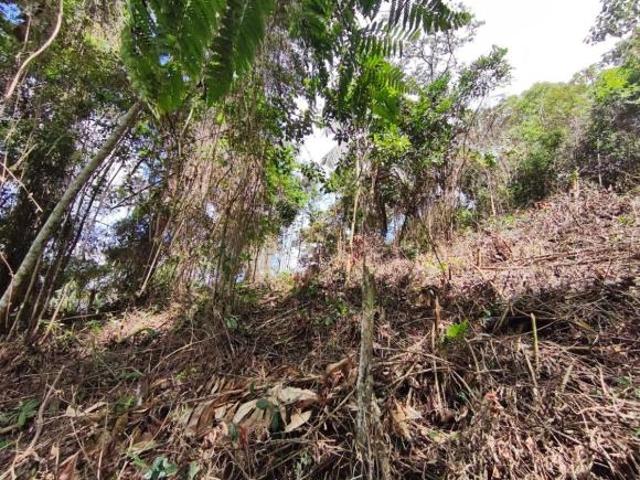 Terreno na divisa de São Lourenço da Serra com Juquitiba, área de 3.000,00 m²