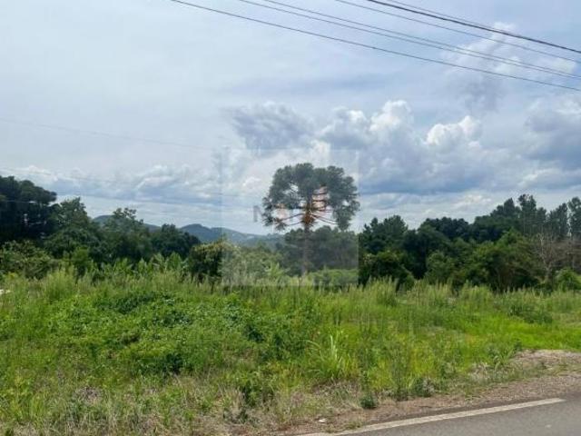 Terreno na Linha Olinda Nova Petrópolis | 459m² | Localização Estratégica e Natureza | Fácil Acesso
