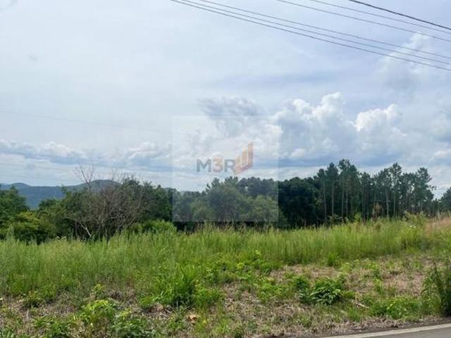 Terreno na Linha Olinda Nova Petrópolis | 467m² | Localização Estratégica e Natureza | Fácil Acesso
