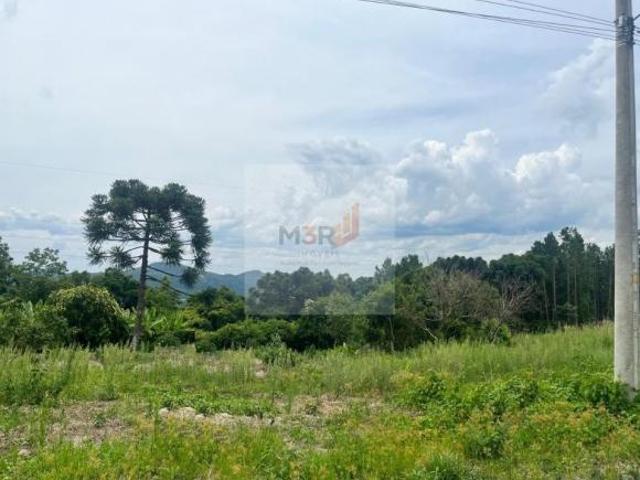 Terreno na Linha Olinda Nova Petrópolis | 463m² | Localização Estratégica e Natureza | Fácil Acesso