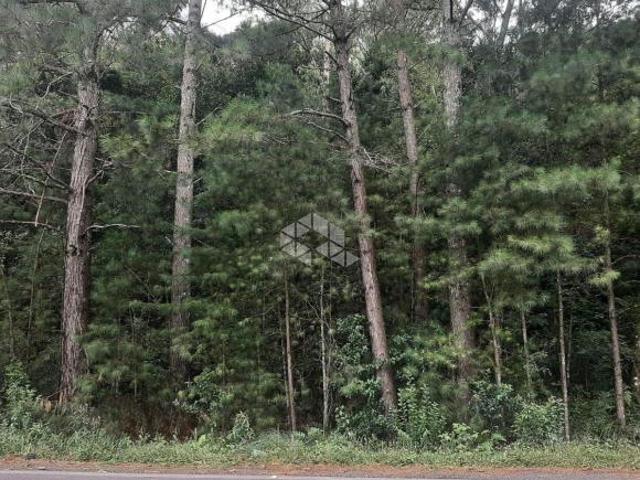terreno na Linha Palmeiro próximo ao trevo do barracão