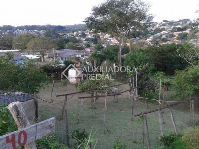 Terreno na Lomba do Pinheiro João de Almeida Remião
