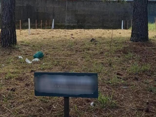 Terreno na Lomba do Pinheiro, Parque dos Pinheiro