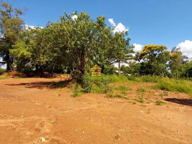 TERRENO NA PARTE ALTA DA SCHARLAU EM SAO LEOPOLDO