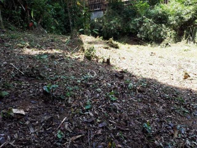 Terreno na Planta à Venda na Praia do Perequê em Guarujá