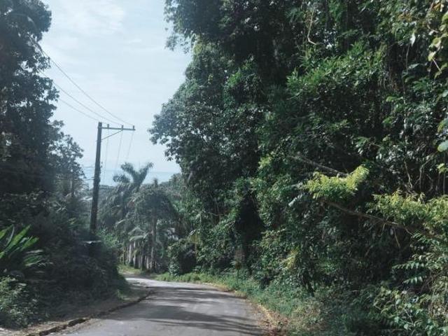 TERRENO NA PRAIA DO FÉLIX, À 400 METROS DA PRAIA