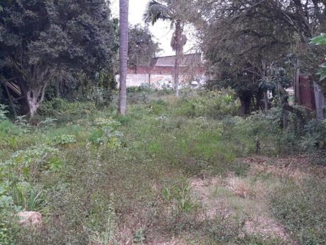 TERRENO NA RUA RANDON BAIRRO TRISTEZA ACEITA IMÓVEIS NO NEGÓCIO
