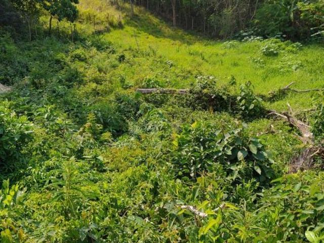 Terreno na Rodovia Raposo Tavares