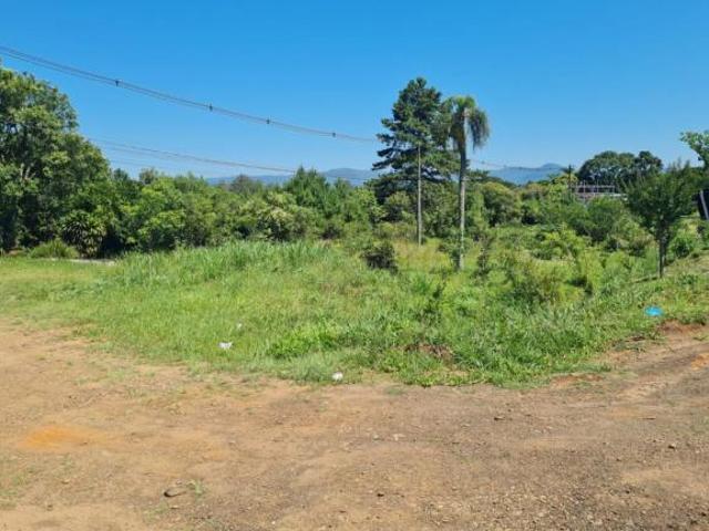 Terreno na RS 115 em Igrejinha! Ideal para indústria, comércio, loj