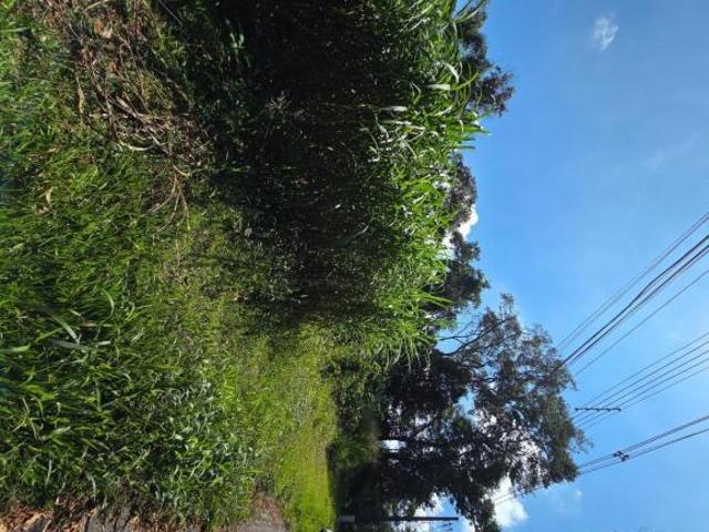 Terreno na Serra da Cantareira em Condomínio com Projeto Aprovado – Pronto para