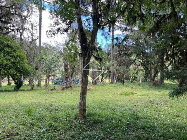 TERRENO NA SERRA GAUCHA