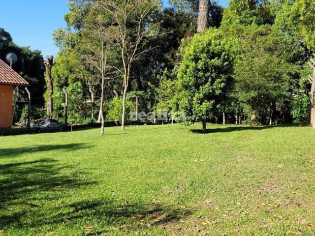 TERRENO NA VILA DO CEDRO EM CANELA