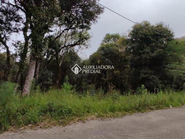 TERRENO NA VILA DO CEDRO EM CANELA