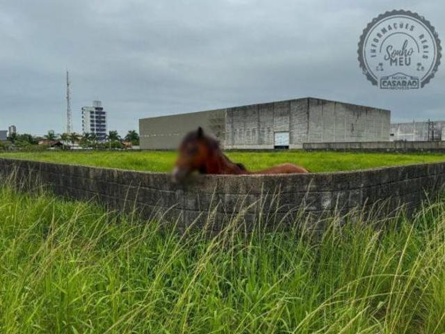 Terreno na Vila Mirim Praia Grande/SP