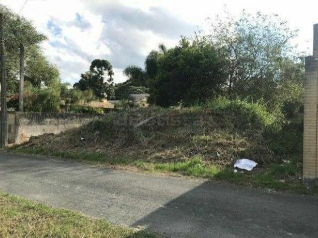 Terreno na Vila Solene em Campo Largo