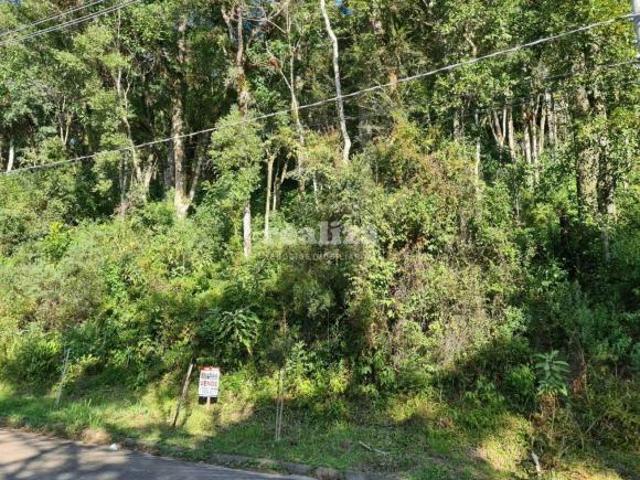 TERRENO NA VILA SUZANA EM CANELA