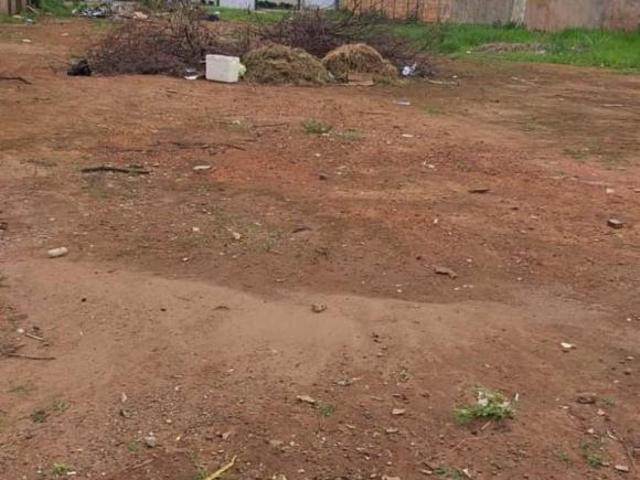 Terreno Nascente Melhor Localização Vista Livre 98112 5546