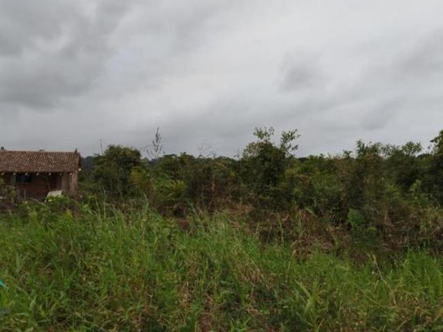 Terreno, Nereidas, Guaratuba, PR