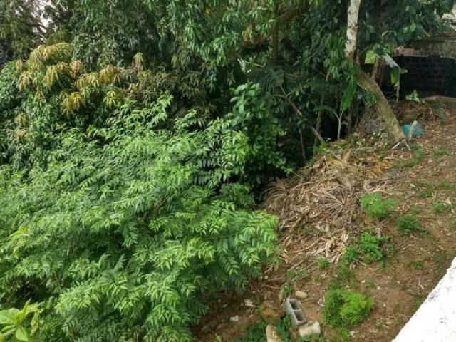 Terreno no Morro da Praia Enseada Ubatuba