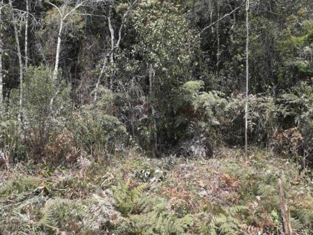Terreno no Nova Campos do Jordão 2035 metros