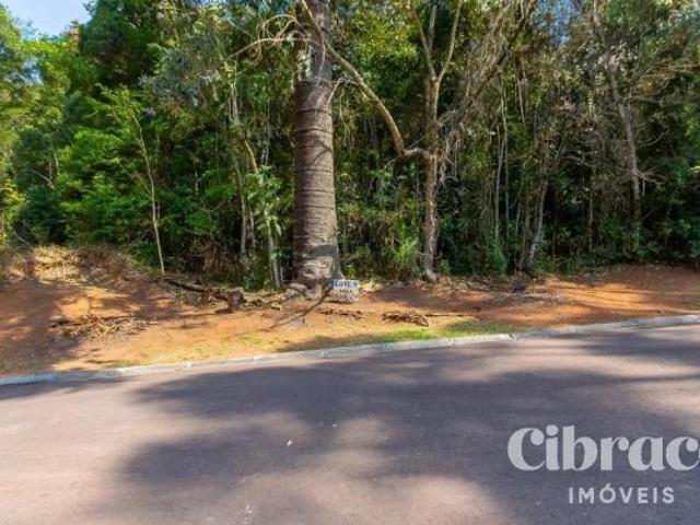 Terreno no Orleans com 3.727,14m² Condomínio Dallabona Due