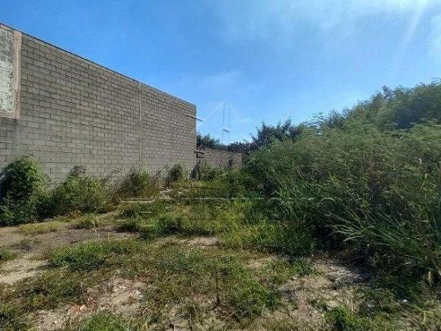 TERRENO NO ALÉM PONTE