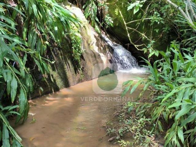 Terreno no alto da montanha com pequena cachoeira à venda, 22000 m² por R$ 1.760.000 Serrano São
