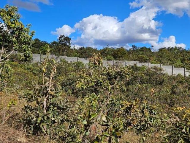 terreno no Altiplano Leste com 20 mil metros