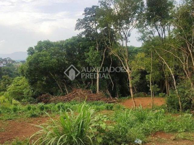 Terreno no bairro Travessão em Dois Irmãos próximo Shopping Portal da Serra