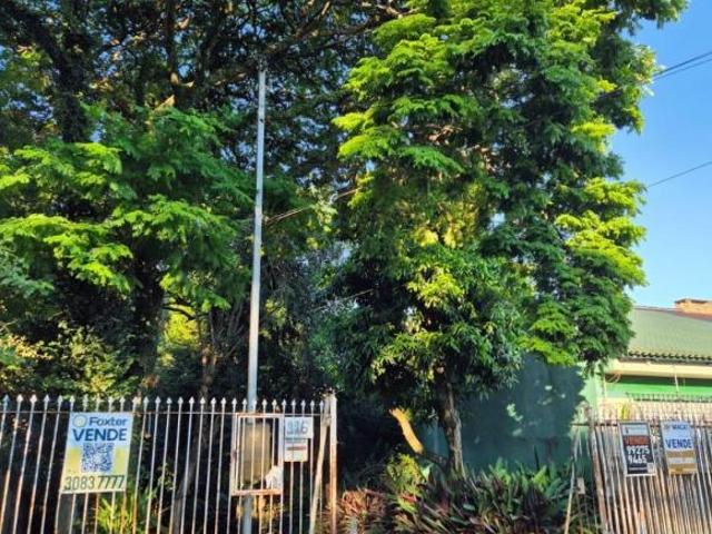 Terreno no bairro Tristeza