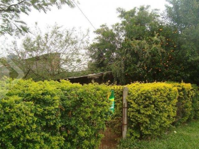 Terreno no bairro Tristeza