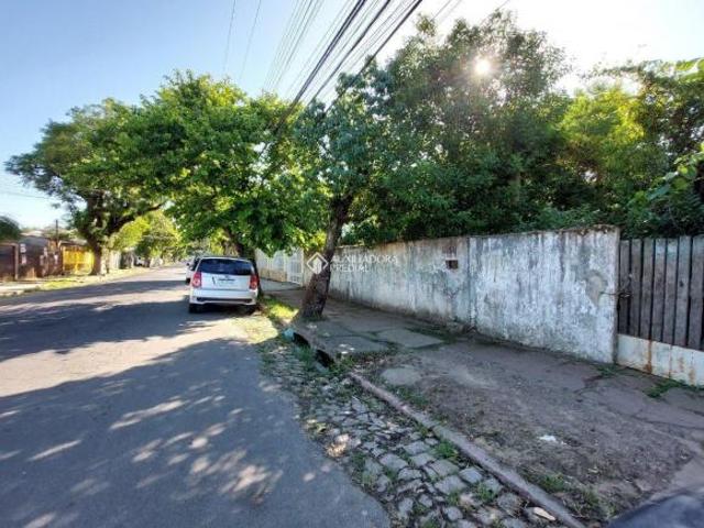 Terreno no bairro Tristeza