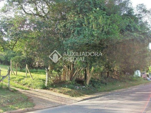 Terreno no bairro Vila Nova